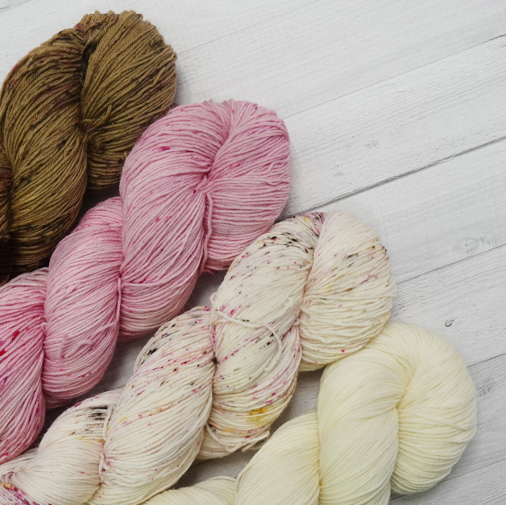 Florida Stanley Yarn Set | The Woolly Dragon